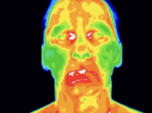 Thermography: Services, Risks, Cost, and More | ERLY Wellness